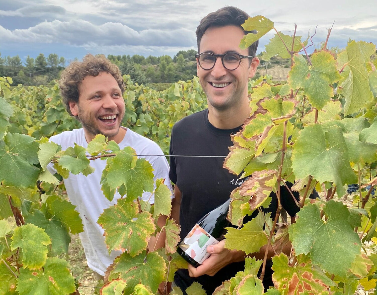 Aubert et Mathieu wines – The Allotment Wine Company